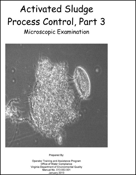 Activated Sludge Process Control, Part 3 - BambooInk